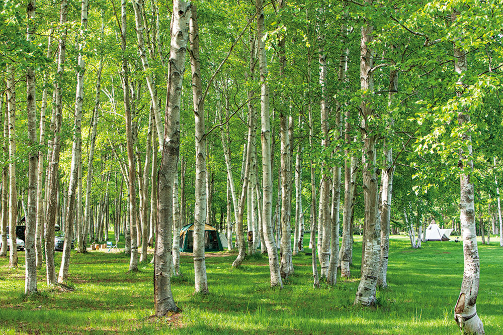 AKAIGAWA TOMO PLAYPARK （北海道 道央）